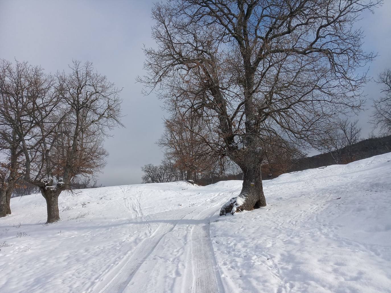 Fotos: La nieve y el hielo mantienen en alerta a Burgos | BURGOSconecta